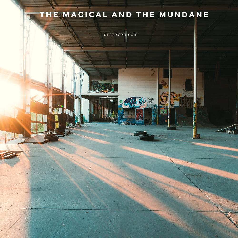 The Magical and the Mundane - Dr. Steven
